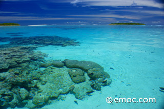 Cook Islands - marine environment | emotioncreations.net